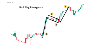 Bull Flag Patterns - Comprehensive Guide for Traders - Alchemy Markets