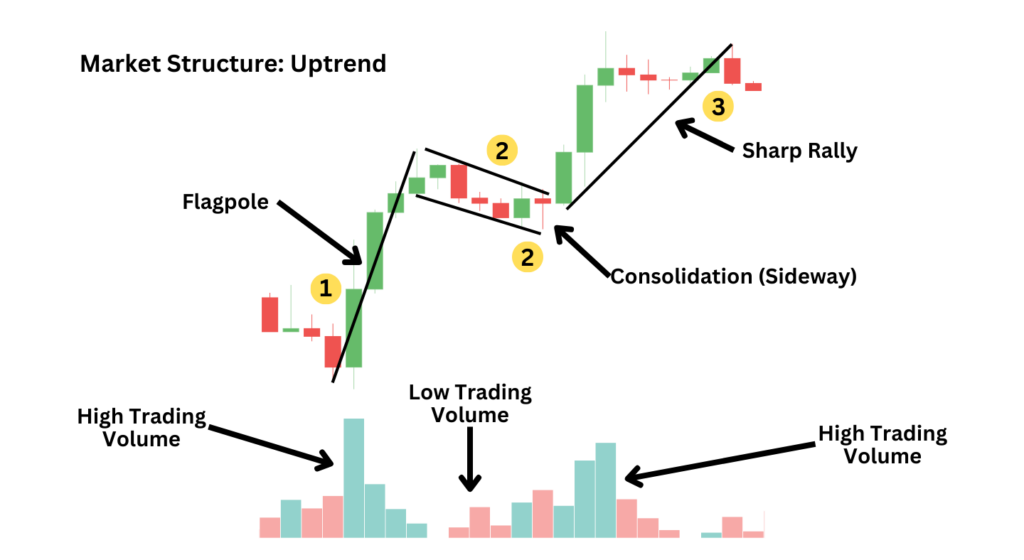 Bull Flag Patterns - Comprehensive Guide for Traders - Alchemy Markets