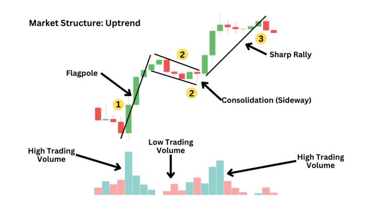 Bull Flag Patterns - Comprehensive Guide for Traders - Alchemy Markets