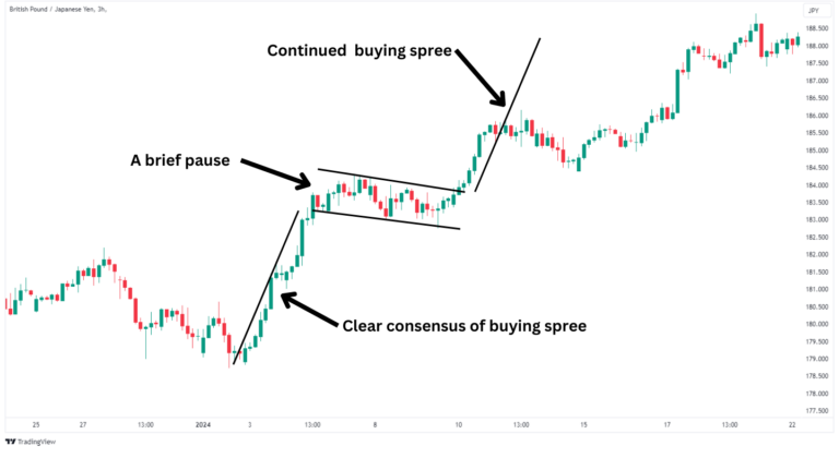Bull Flag Patterns - Comprehensive Guide for Traders - Alchemy Markets