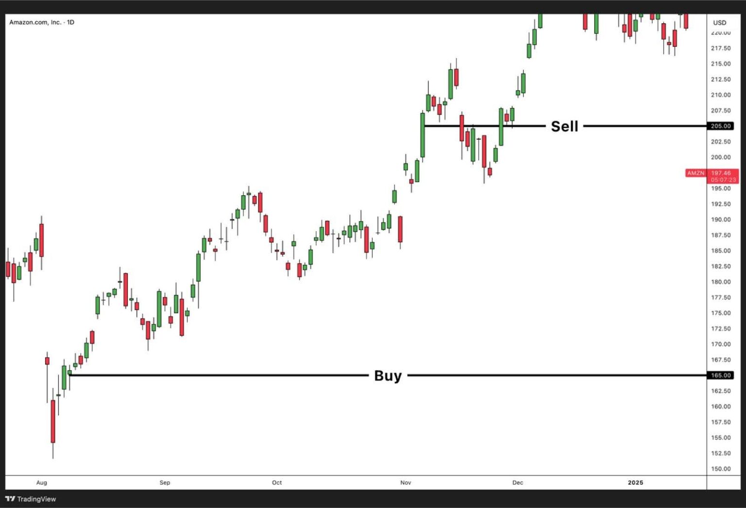 CFDs vs Options: What are the Differences? - Alchemy Markets