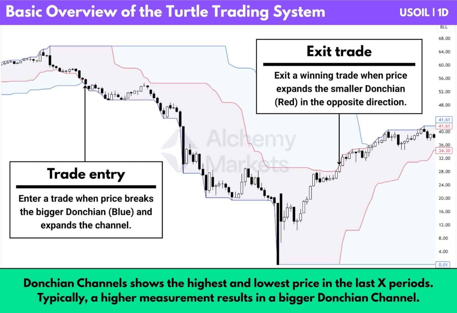 Turtle Trading Complete Guide - Alchemy Markets
